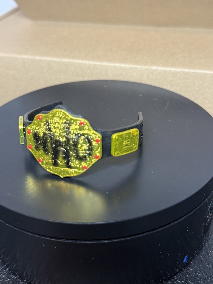 WWE/WCW nWo World Heavyweight Championship Title Belt Action Figure ...