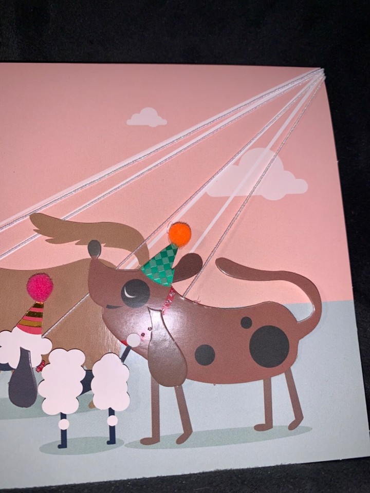 Happy Birthday Card! 3D Dog Walk! Pawsitively Amazing Burgoyne | eBay