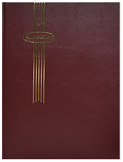 Supersafe Stockbook - 16 Black Pages (Brown) | eBay