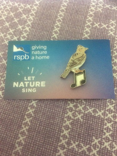 RSPB Pin Badge Let Nature Sing Skylark England | eBay UK