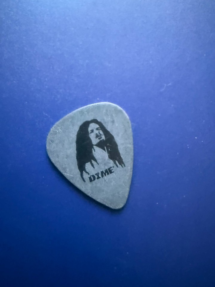 DAMAGE PLAN /PANTERA / DIME ))) guitar pick (one pick) - - - VERY RARE ...