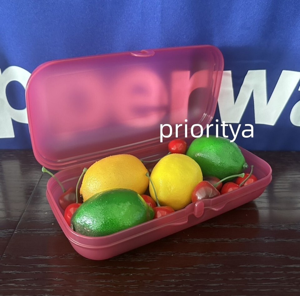 Tupperware Large Packable Oyster Case Container Hinged Sheer Magenta ...
