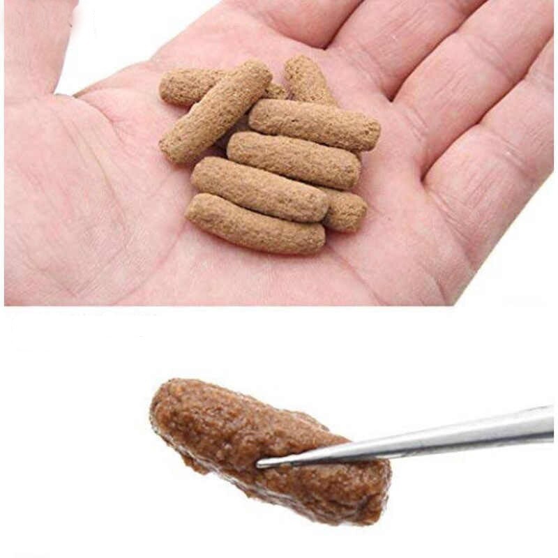 X3 Pcs Pacman Frog Food Pellet Ceratophrys Horned Frog Reptile Hikari ...