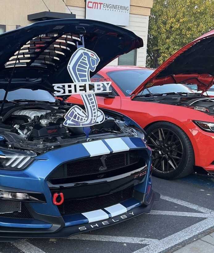 24x24” 2020 Heritage Edition Powder Coated Custom Shelby Gt350 Mustang ...