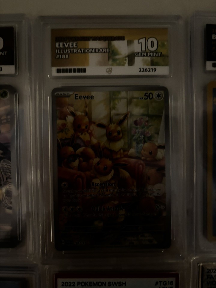 Pokemon Graded Card Slab (PSA, ACE…) Mystery graded slab | eBay UK