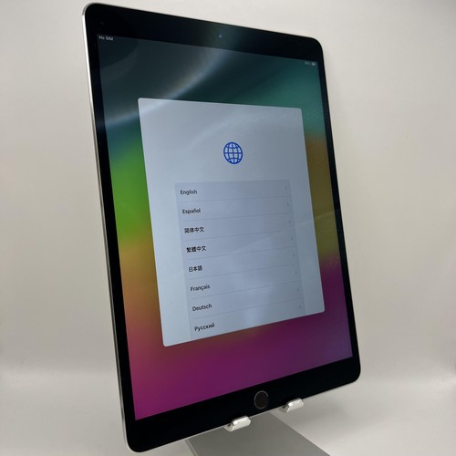 Apple iPad Pro 10.5 Space Gray 256GB Unlocked - Good w Spots/Backlight ...