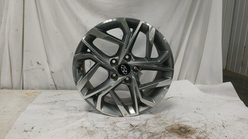 OEM (1) Wheel Rim For Sonata Alloy B Grade Edge Chew | eBay