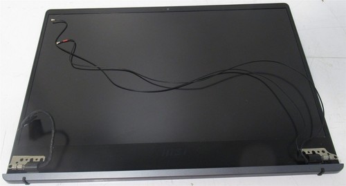 MSI SYS Display 14" FHD 19 Lap LCD Screen Assembly S1J-J4E0A019-A90 | eBay