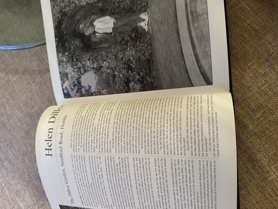 A Sense of Place: Irish Lives, Irish Landscapes by Roslyn Dee ...