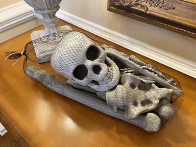 Pottery Barn Decorative Skeleton Bones NWOT Read | eBay