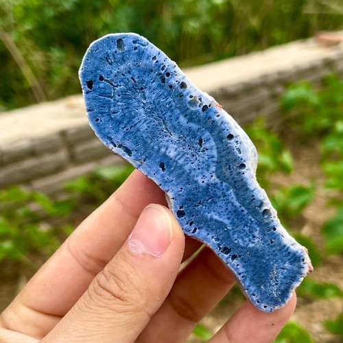 56G Natural Blue Coral Reef Cluster Marine Mineral Crystal Specimen | eBay