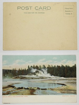 Castle Well Yellowstone Park Geyser Steaming Haynes Photo Undivided ...