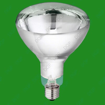 10x 250W Infra Red Heat Lamps Restaurant Catering Carvery Display IR ...