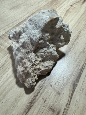 Jerusalem Israeli Stone From Western Wailing Wall Holy Land White ...