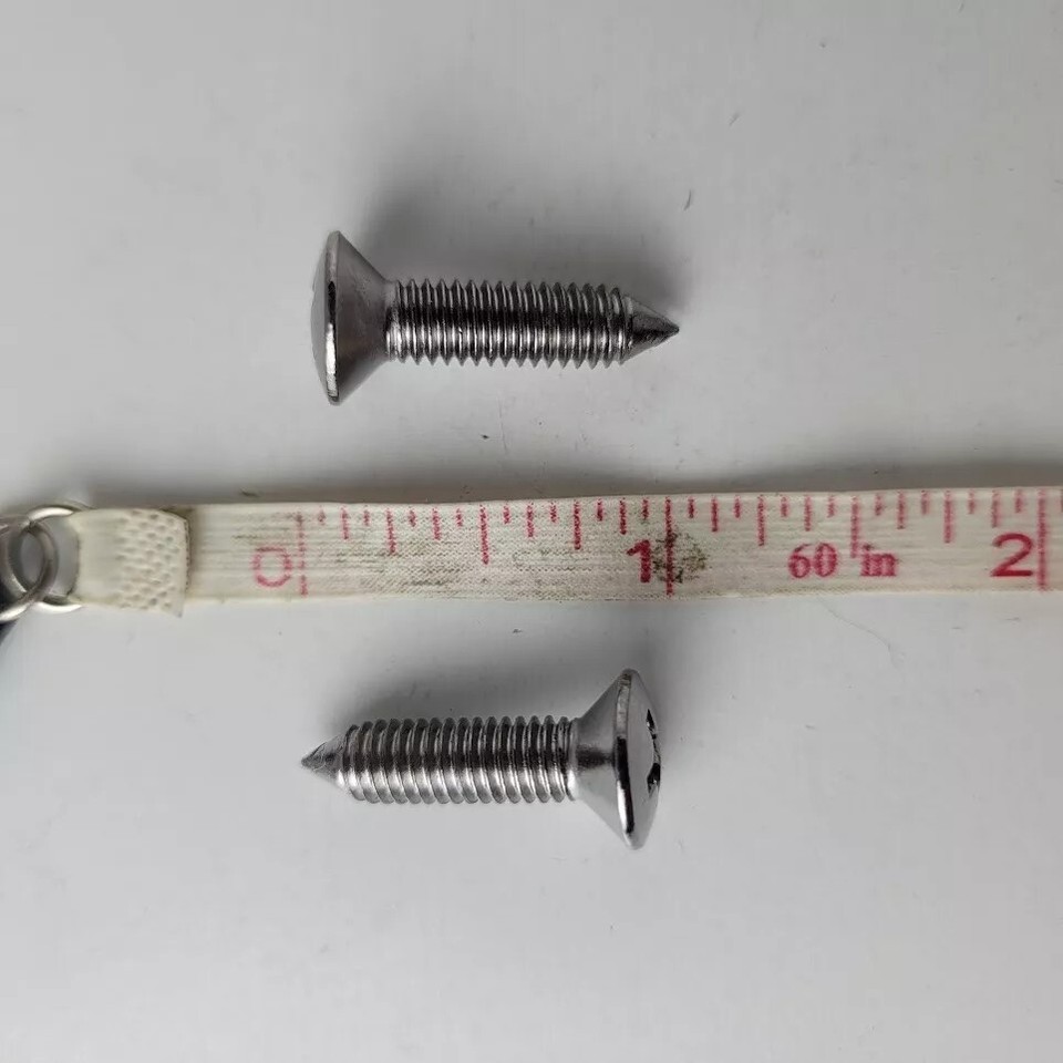 2007-2012 Hyundai Santa Fe Sun Visor Screws Silver Pair Set of 2 OEM | eBay