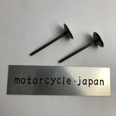 KAWASAKI Genuine KX250F Intake Valves 2Set 12004-0033 ×2 | eBay