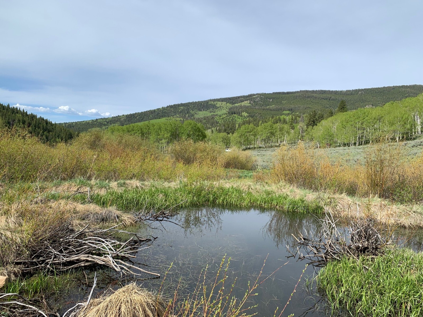 Ghost Town of Bowerman, Colorado, 10.3 Acres, 2 Gold Mines and Hot ...