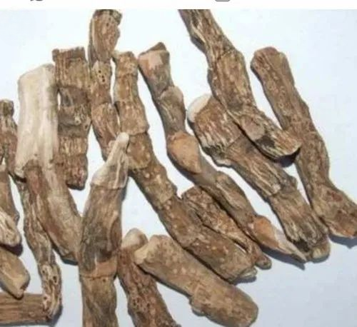 Sweet Flag Dried Root Herb 100% Natural Acorus Calamus/Vasambu Free ...