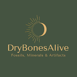 Dry Bones Alive | eBay Stores