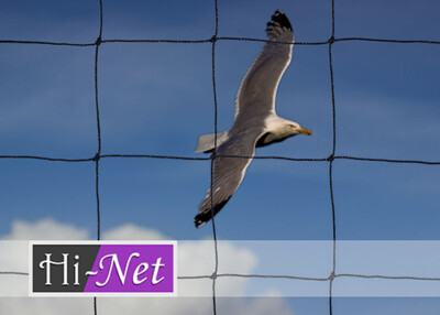 Garden Netting 10m x 10m Anti Bird Heavy Duty 75mm Net Seagull 3 ...