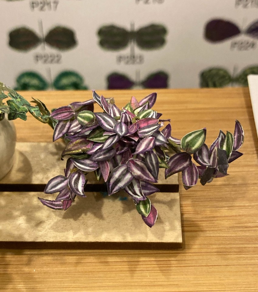 1:12 Dollhouse Miniature Wandering Jew Plant Kit DI P301 | eBay