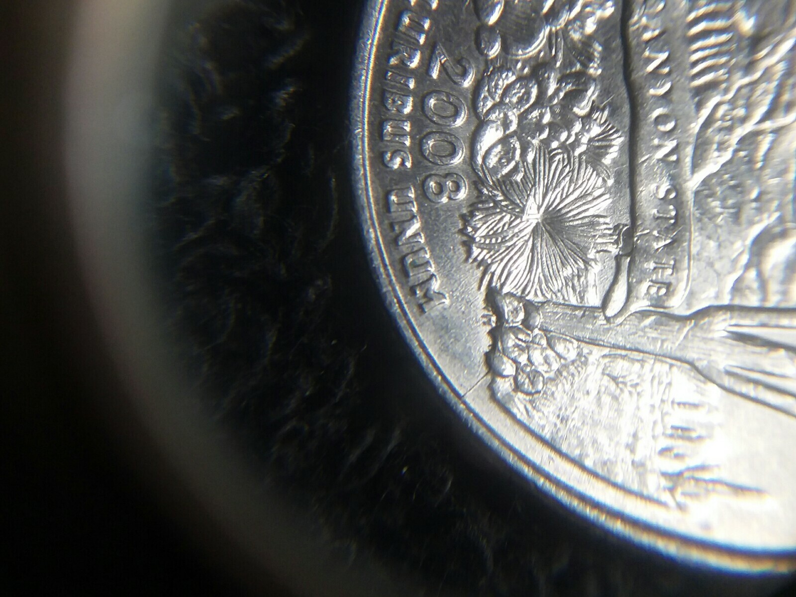 2008P ARIZONA State Quarter - CUD Error - Extra CACTUS Leaf | eBay