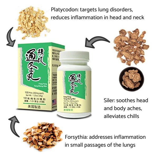 Fang Feng Tong Sheng For Healthy Immune System & Cold 防风通圣丸 Made In USA ...