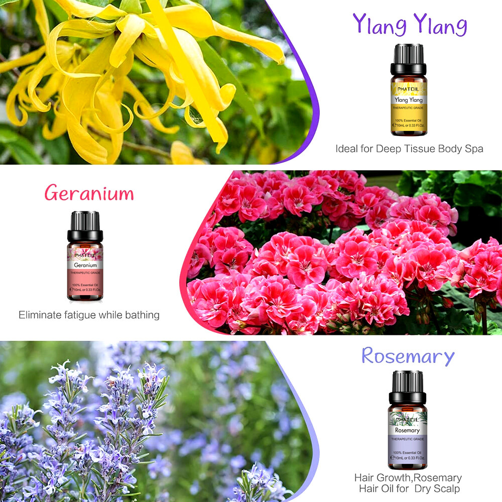 10 mL Essential Oils Fragrances Oil- Therapeutic Grade Oil -Natural ...