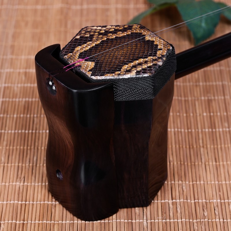 YUEHU ERHU Stringed Instruments Chinese Violin Two-stringed Chinese ...