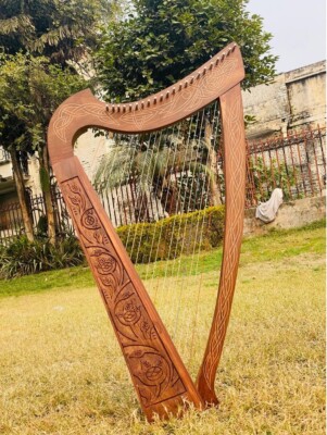 19 String harp SOLID ROSEWOOD Extra Strings & Carrying case Great for ...