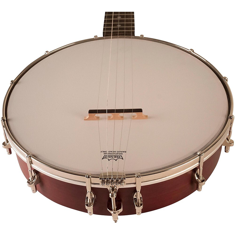 Recording King RKO-3S Open Back Banjo | eBay