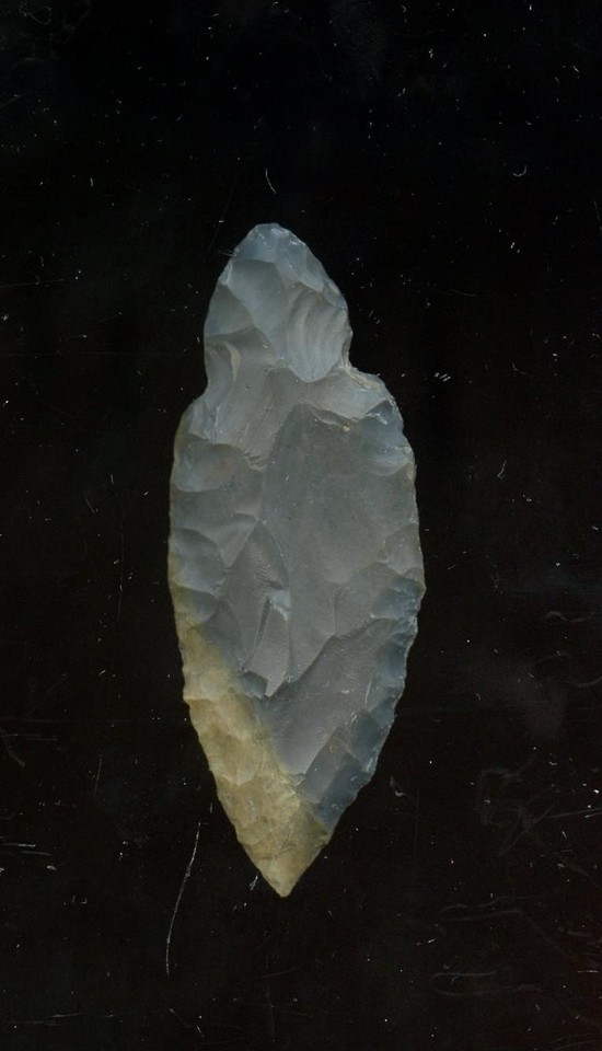 Indian Artifacts- Fine Thin Turkey Tail Point-Glovers Cave Site ...
