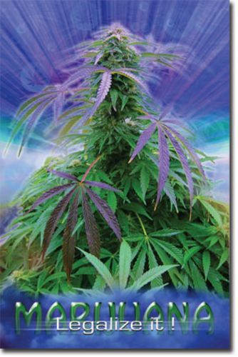 DRUG POSTER Marijuana Legalize It | eBay