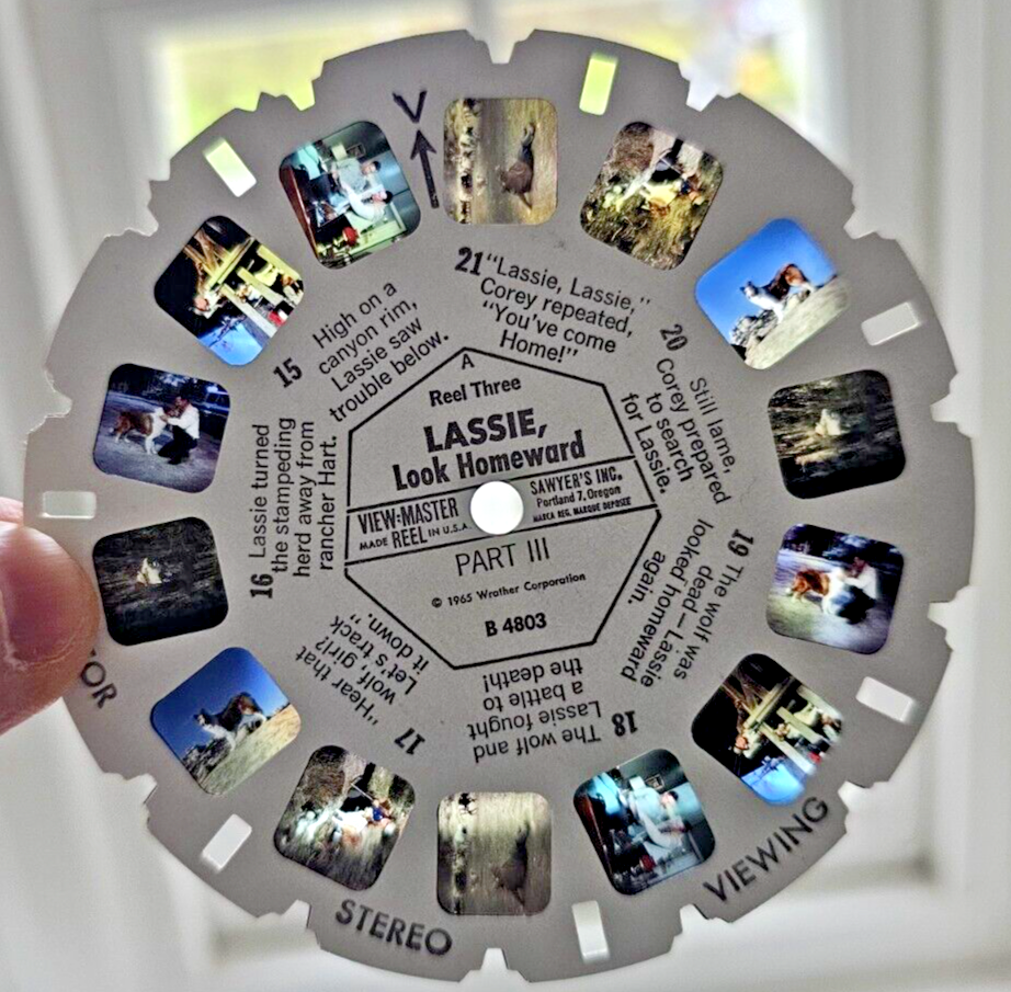 LASSIE LOOK HOMEWARD 1965 VIEWMASTER REELS SET B480 RARE COMPLETE Q062 ...
