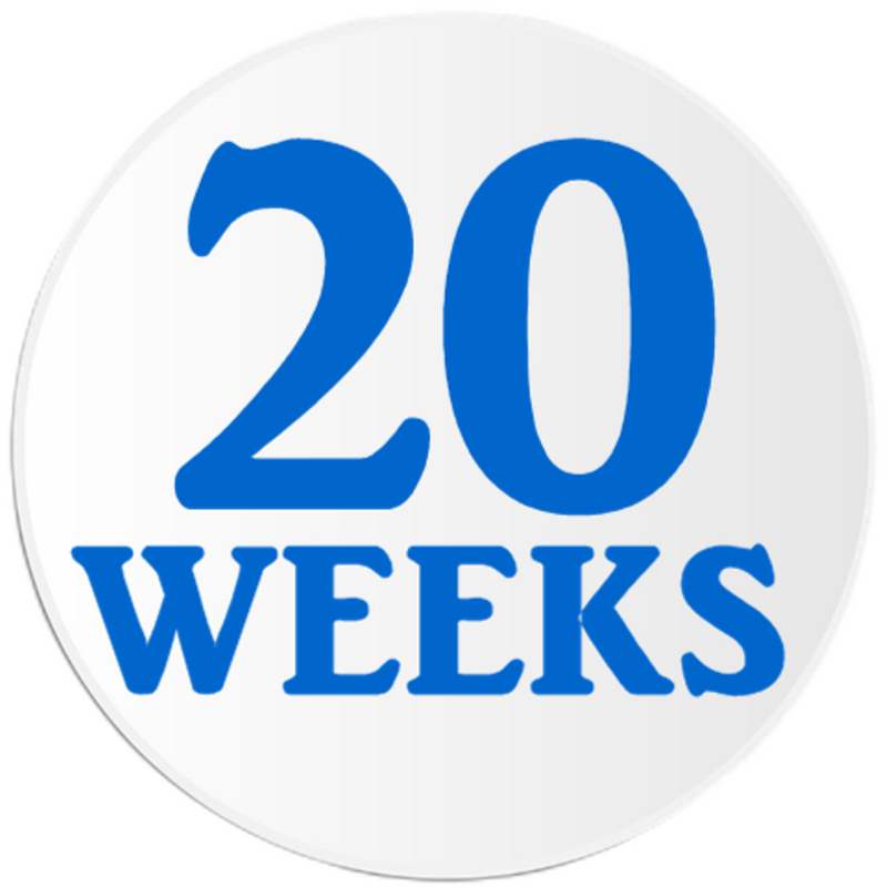 20 Weeks - 100 Pack Circle Stickers 3 Inch - Pregancy Mother Pregnant ...
