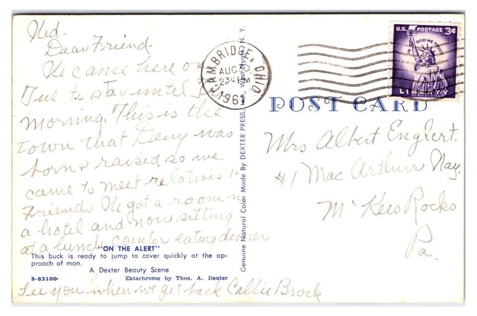Vintage 1960s - Deer On Alert - Cambridge, Ohio Postcard (Posted 1961 ...