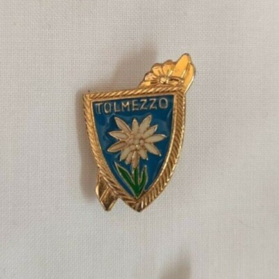 Metal Badge Tolmezzo Alpini Specialty Historical Pin Army City | eBay