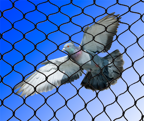 Transparent Bird Netting Star Birds Netting & Pest Control