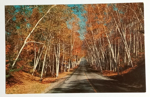 Autumn Foliage Street View Concord New Hampshire NH Lusterchrome ...