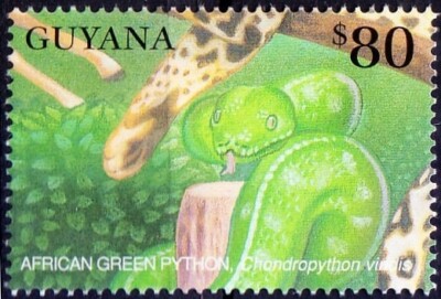 African Green Python, Reptiles, Snakes, Guyana 2001 MNH [G3] | eBay