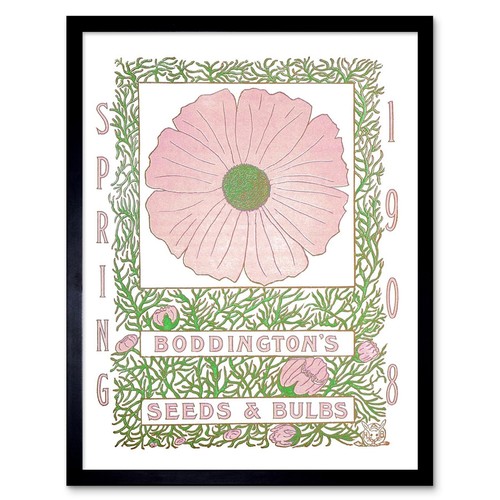 Vintage Advert Boddingtons Seeds Bulbs Spring 1908 12X16 Inch Framed ...