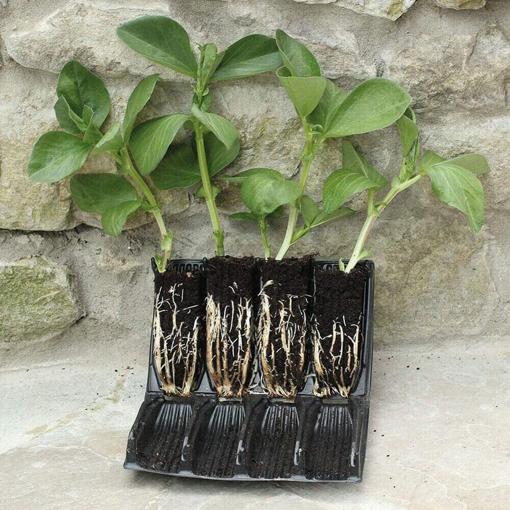 Garden Grow Reusable Deep Root Trainer 32 Cell Seed Plug Plant Tray ...