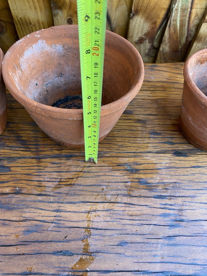 Larger Vintage Terracotta Pot Collection | eBay UK