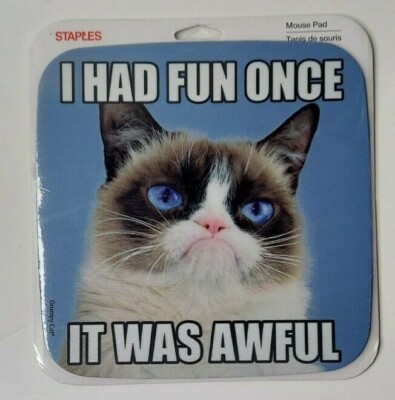 Angry Cat Meme I Had Fun Once