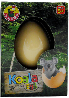 Growing Pet Koala Egg | eBay