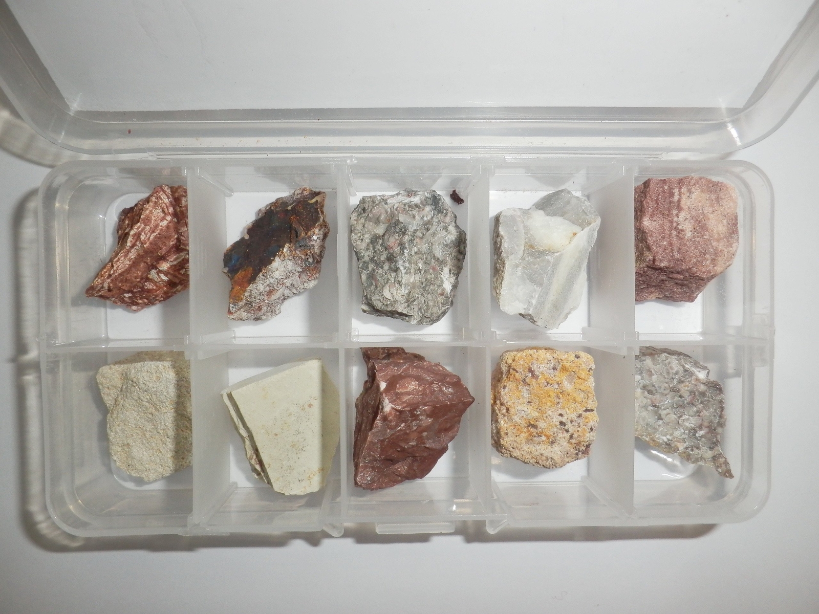 10 Sedimentary Rock Plastic Box Set Education Natural Stone Specimen ...
