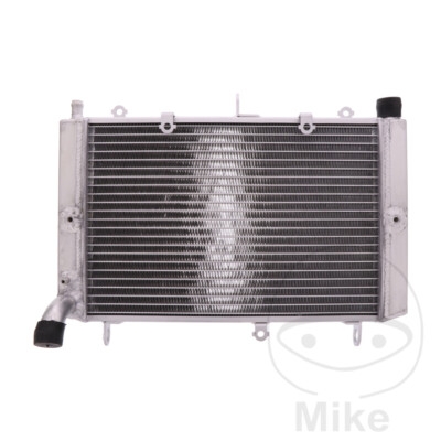 JMP Radiator fits Yamaha FZS 1000 S Fazer 2003-2005 | eBay UK