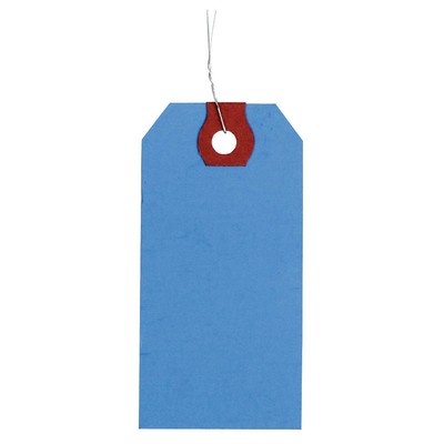 GRAINGER APPROVED 1GYX7 Blank Shipping Tag,Paper,Colored,PK1000 | eBay