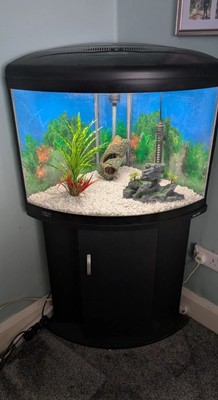 Aqua One Aquarium Fish Tank 100 Litres UFO 550 Complete Set Up Cabinet ...