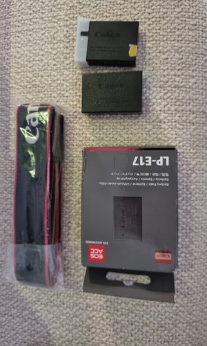 Canon EOS R8 Camera Body with 3 Official Batteries And Strap | eBay UK